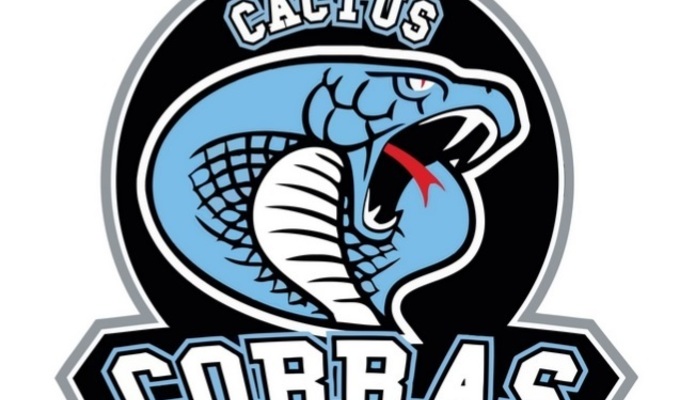 Cactus High School Logo