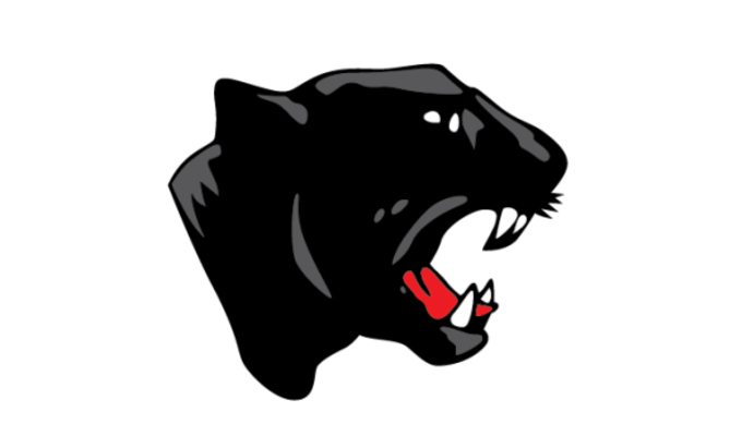 Panthers Baseball Logo
