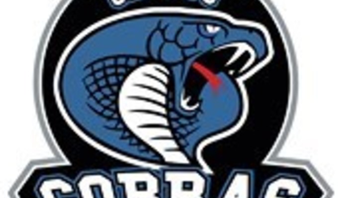 Cactus High School Logo